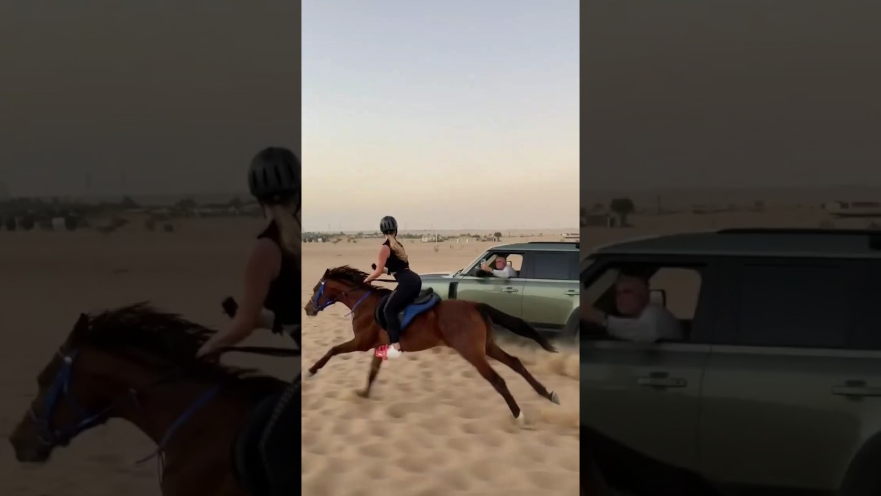 horse win race with car I horse vs car #horsepower #horse #trending # ...