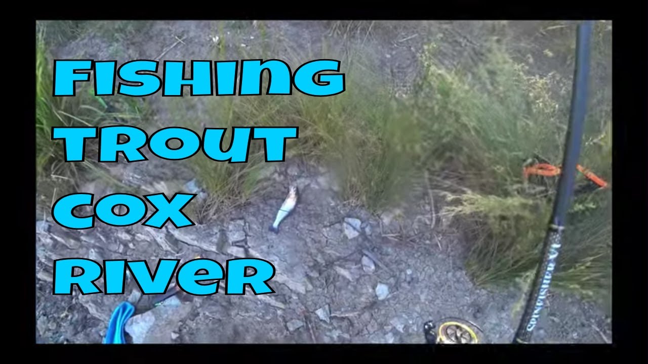 Fishing trout cox river - YouTube