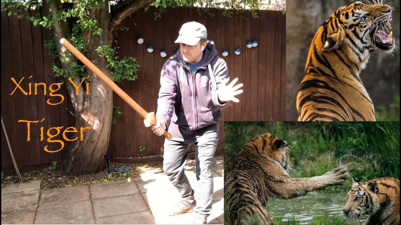 Tiger (Hu) Xing: Xing Yi Lockdown Special #4 - YouTube