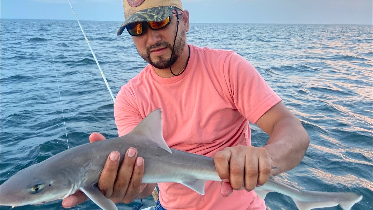 Increíble pesca no esperaba que terminara así😱diferentes especies de ...