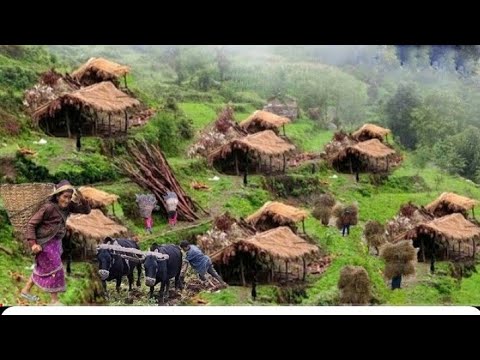 Capturing the best village movement || simple an happy village life ...
