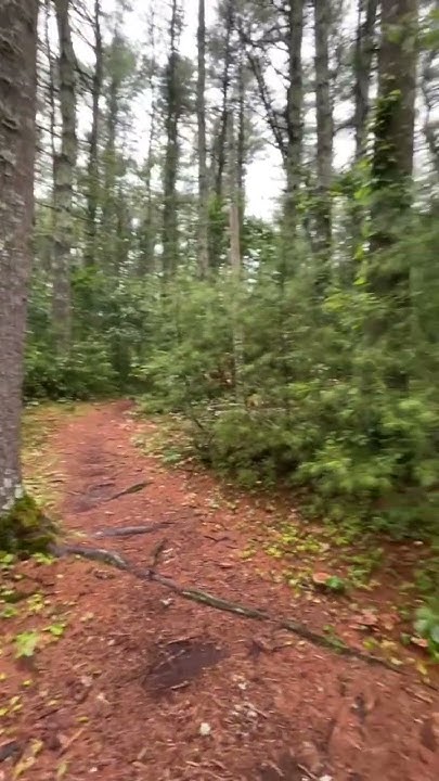 Quick Look Around - YouTube