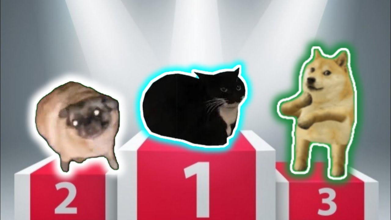7 Maxwell The Cat and Pug and Doge Dancing Sound Variations In 55 ...