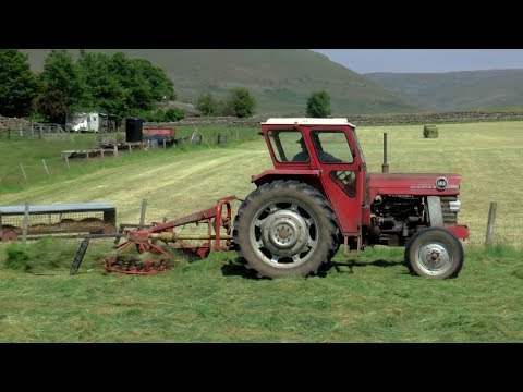 Hay-making - Tedding with MF 165 and Collecting with MF 350. - YouTube