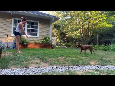 Fetch to Hand - YouTube