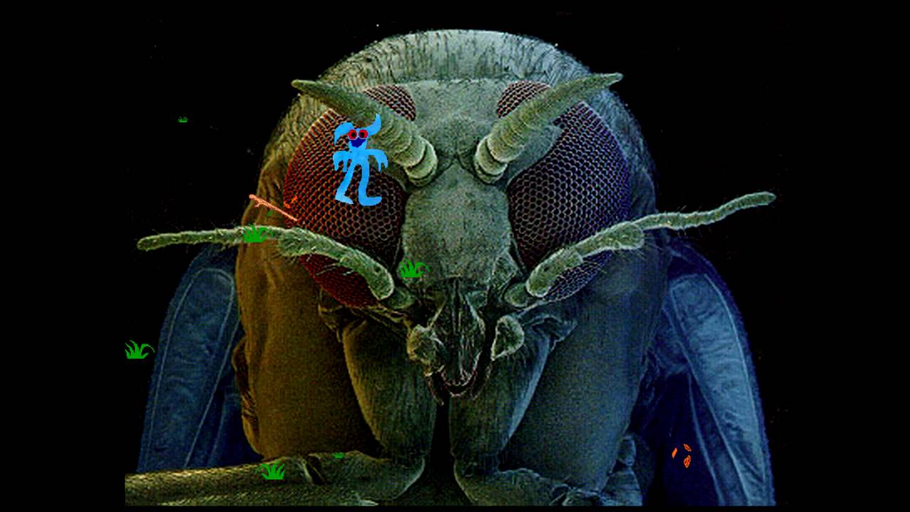 Revenge of the Sunfish (PC) Playthrough (With Extras) - YouTube