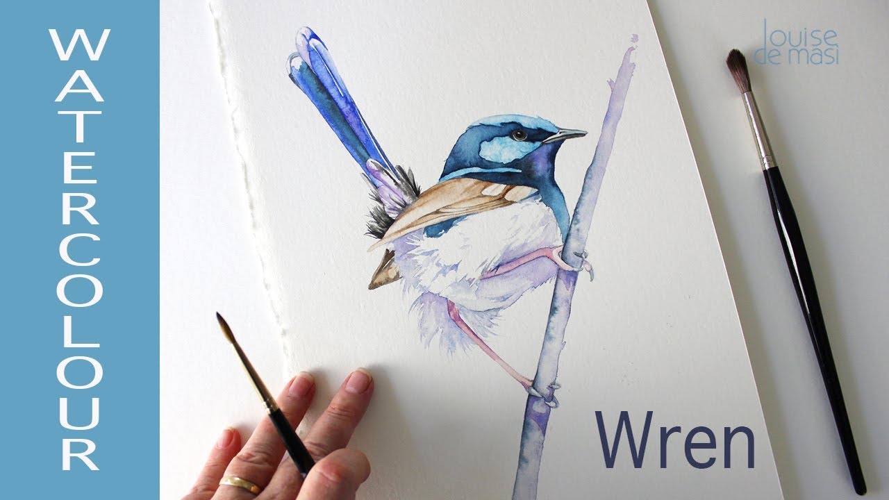 Watercolour Wren Tutorial // How to Paint a Fairy Wren in Watercolour ...