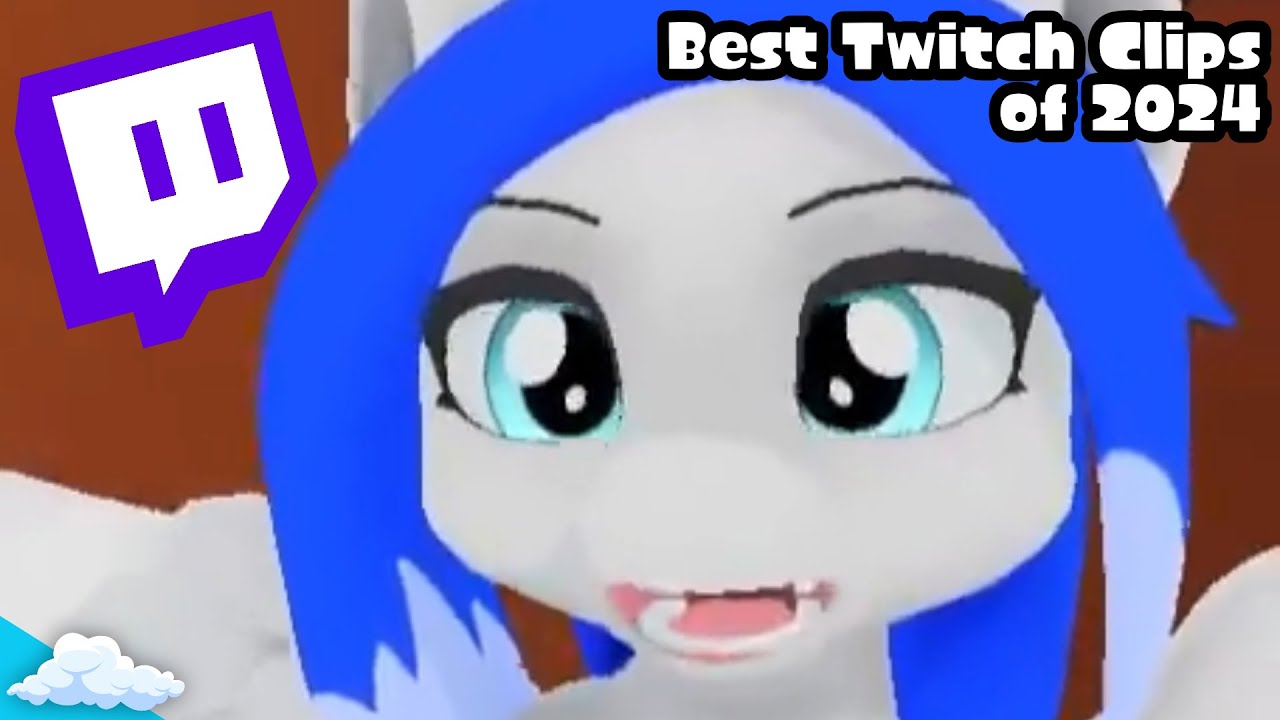 The Most Radical (Best) Twitch Clips of 2024 - YouTube