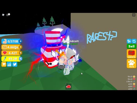 GETTING KNOWLEDGE OF PATRIOTISM PET IN Champion Simulator! (1T FIREWORKS!)