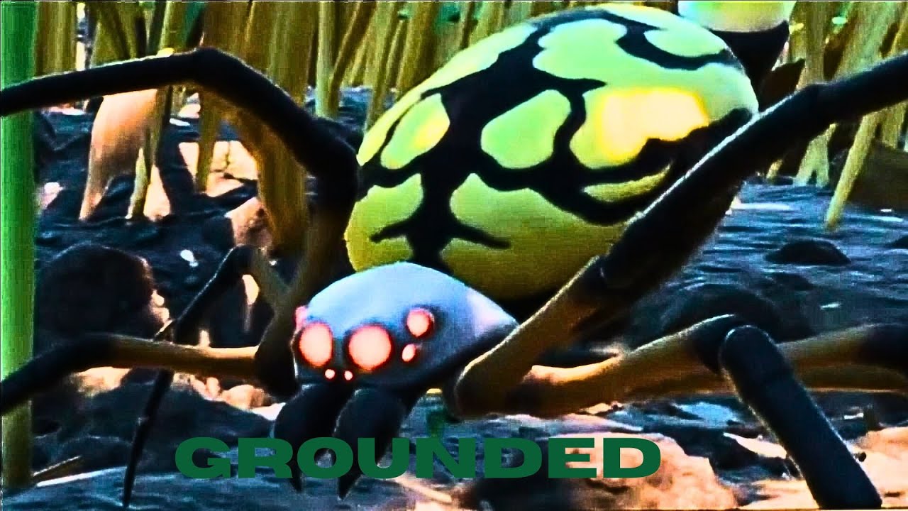THESE SPIDERS ARE CRAZY!!!!! (GROUNDED) - YouTube