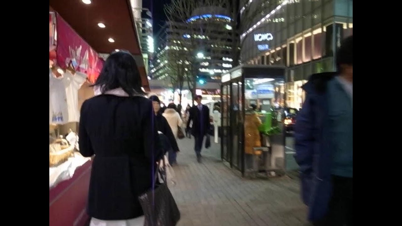 2010 新宿 有楽町 銀座 東京駅 新宿思い出横丁 散策散歩 100126-EV - YouTube