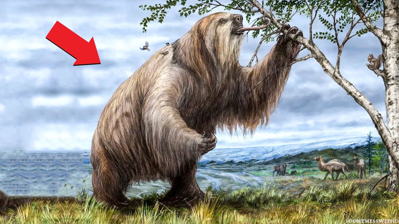 This Was The Biggest Sloth To Roam Earth - YouTube