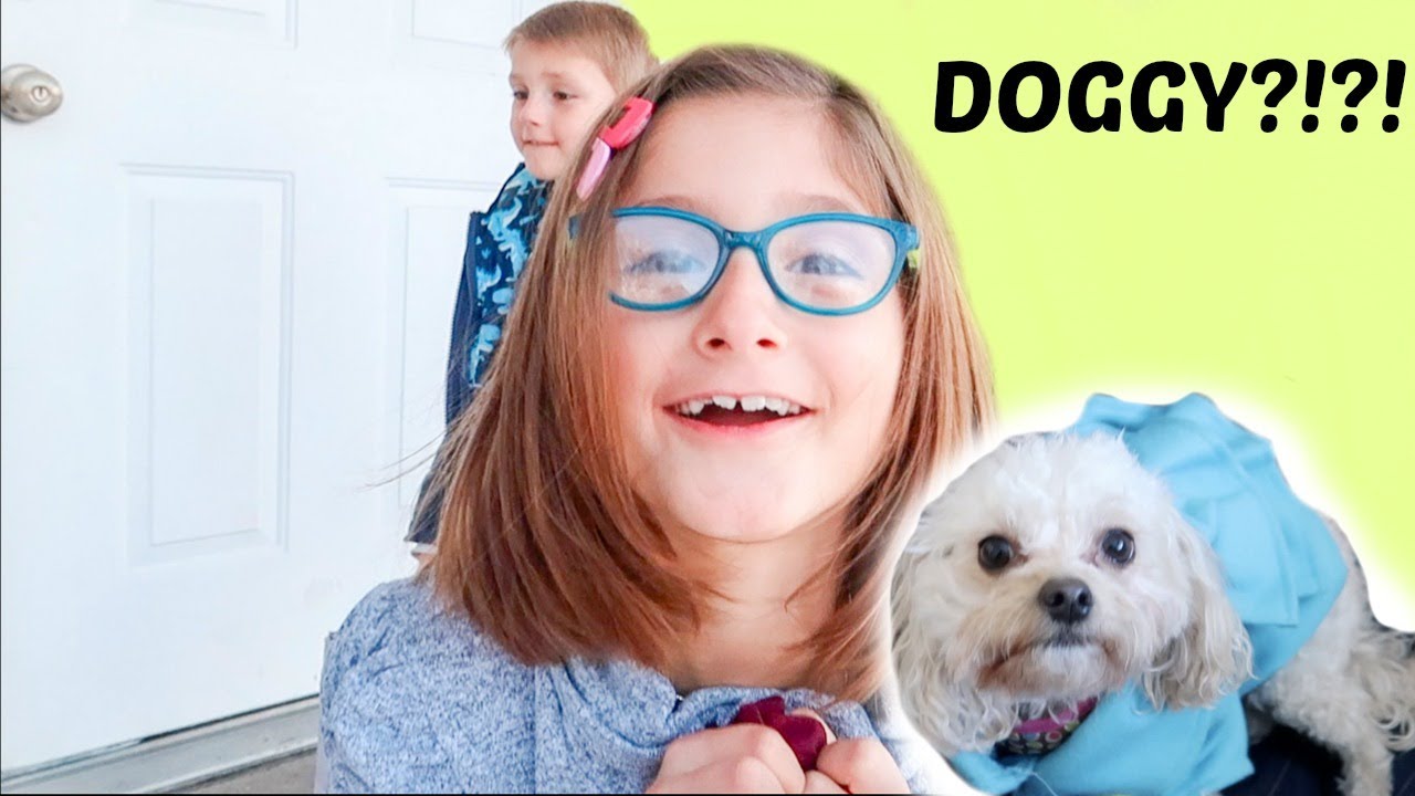 Are We Getting a DOG TOO? - YouTube