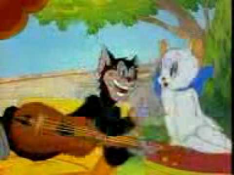 Cat's love song.3gp