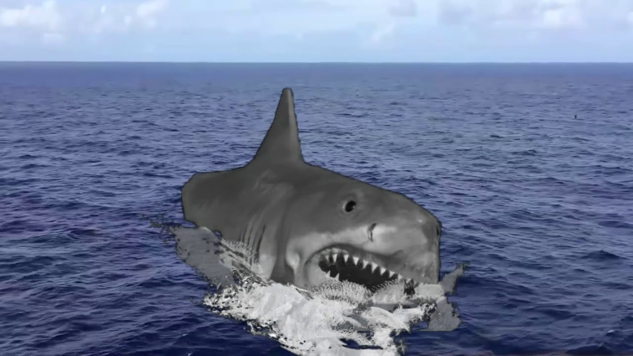 SHARK animated POPING UP FROM WATER green screen - YouTube