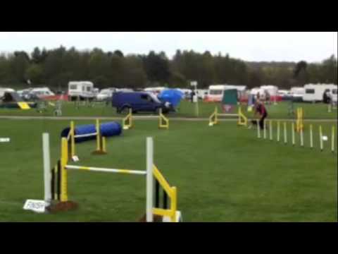 CRACKER WINNING GRADE 5 JUMPING WALLINGFORD - YouTube