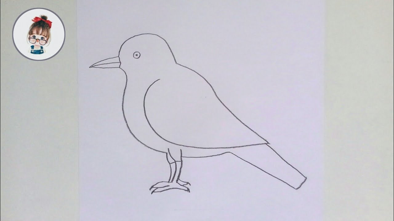 how to draw crow easy step by step | easy crow sketch @MTCRDrawing ...