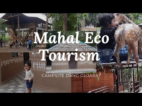 Mahal Eco Tourism Campsite l Mahal Campsite l Dang Gujarat l Travel ...