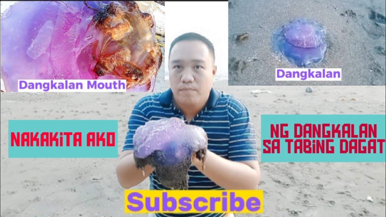 Nakakuha Ako Ng Dangkalan Sa Tabing Dagat - YouTube