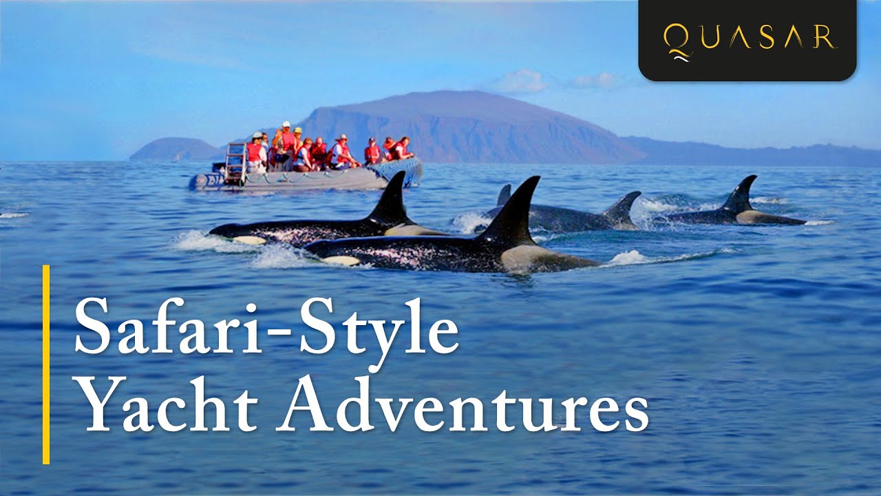 Choosing the Best Galapagos Cruise with Quasar Expeditions - YouTube