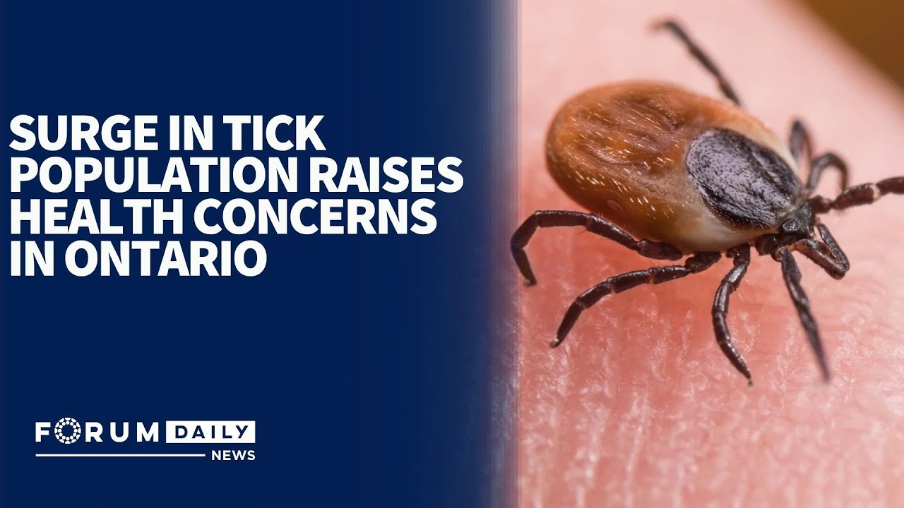 Surge in Tick Population Raises Health Concerns in Ontario - YouTube