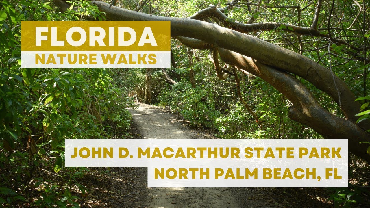 Dune Hammock Trail: The Perfect Path To The Beach! - YouTube