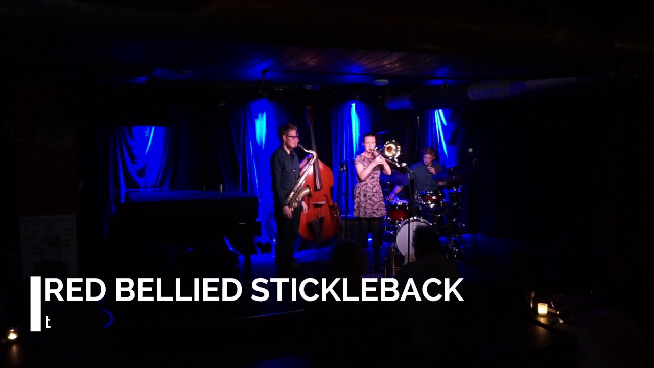 Shannon Barnett Quartet | Red Bellied Stickleback | live in Sydney ...