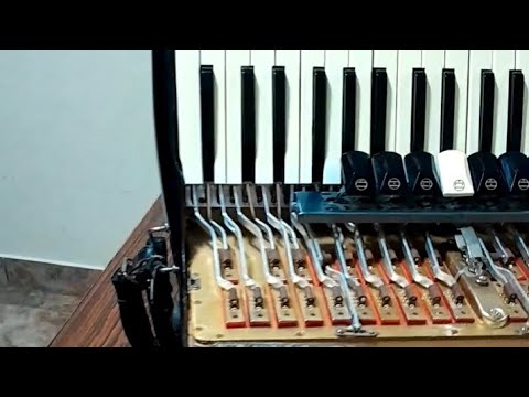 ACORDEÓN PARTE 1 - anatomía del acordeón - YouTube