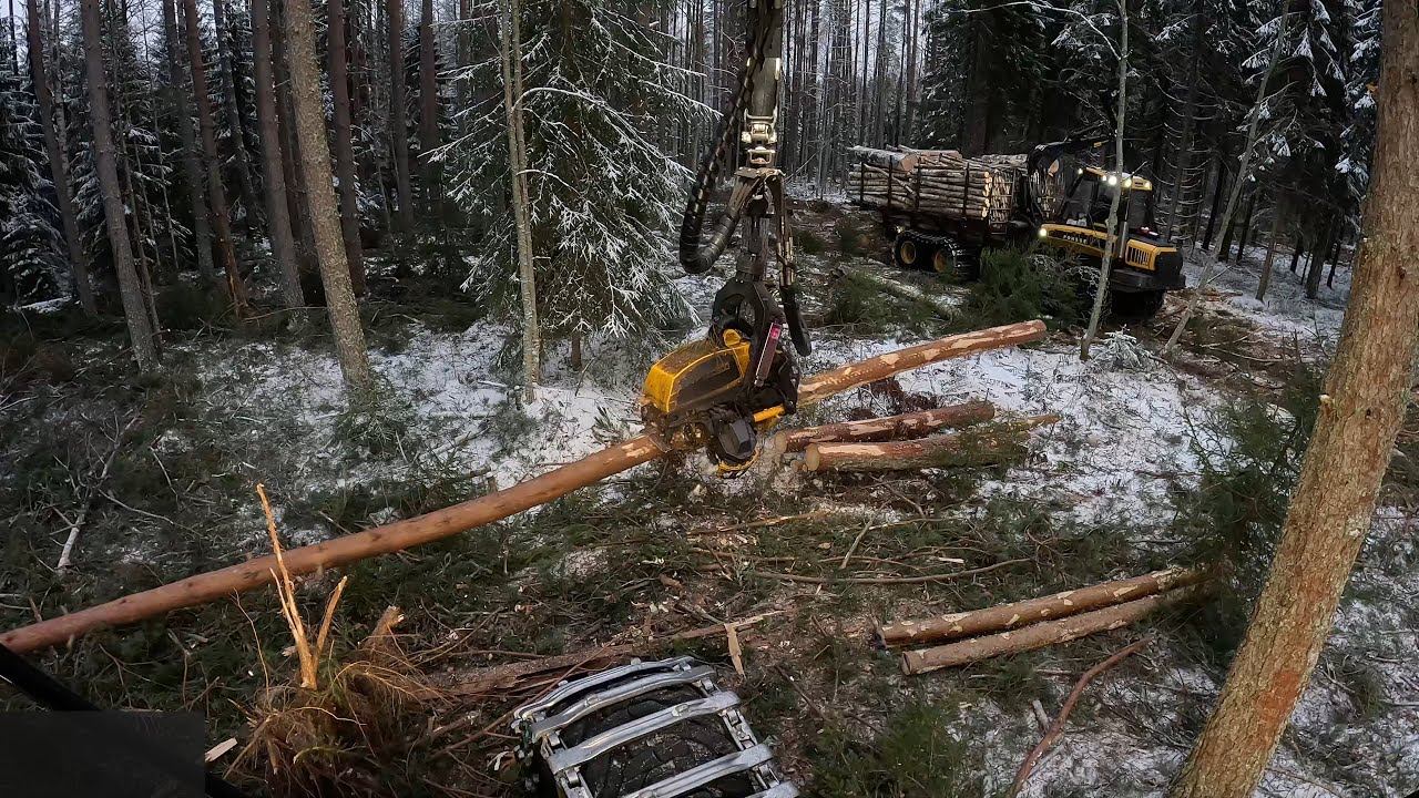 Jatkoa Edelliseen Videoon M nty Avohakkuuta Noin 500 M3 ha Poistuma