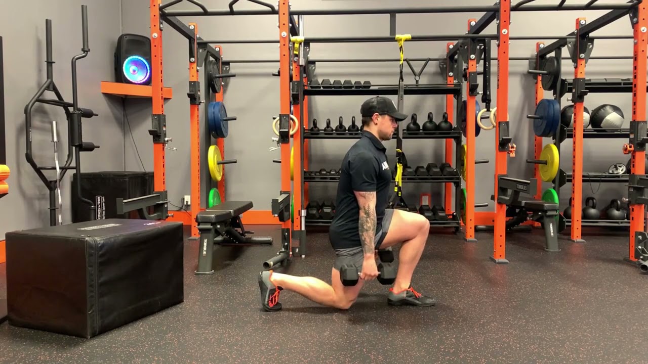 Dumbbell Reverse Lunge - YouTube