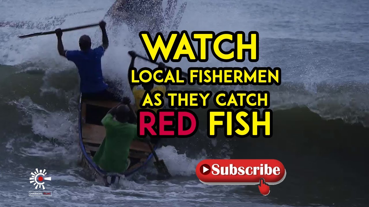 Before you eat Red fish! Watch TALES OF FISHERMEN RED FISH documentary ...