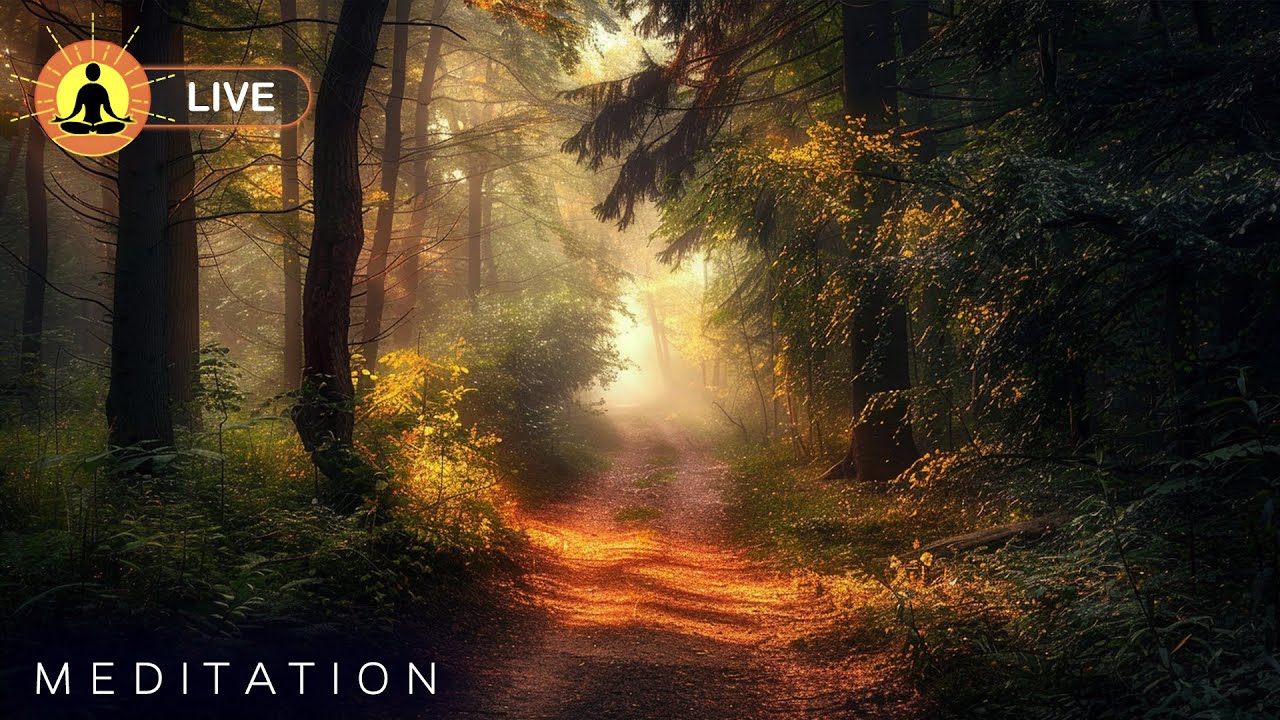 🔴 Relaxing Music 24/7, Meditation Music, Sleep Music, Yoga, Zen ...