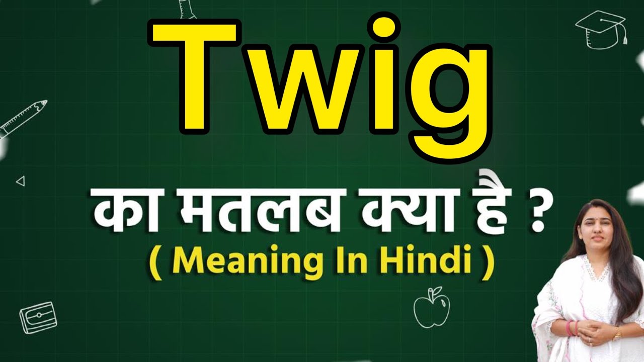 Twig meaning in hindi | Twin ka matlab kya hota hai | Word meaning ...