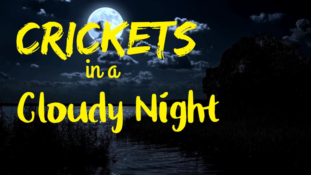 Crickets in a Cloudy Night | Crickets at Night | Ambient Sound | What ...