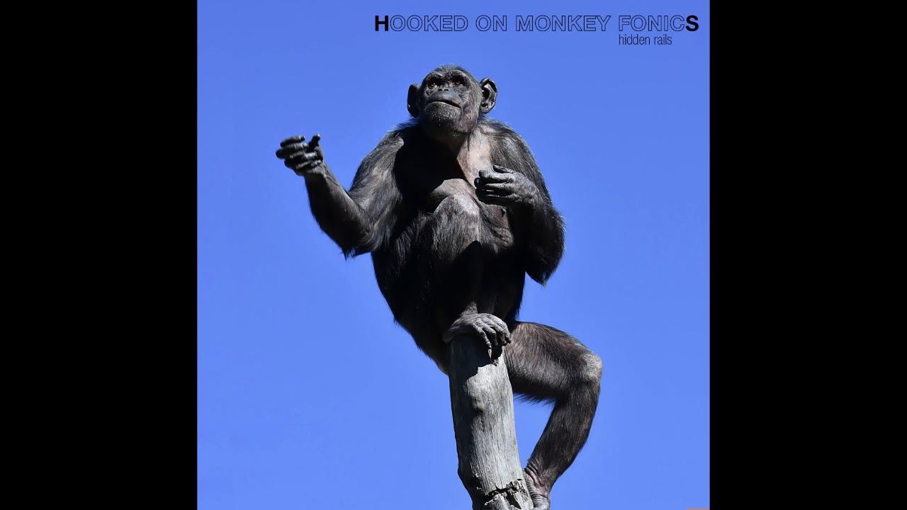 Hidden Rails - Hooked On Monkey Fonics - YouTube