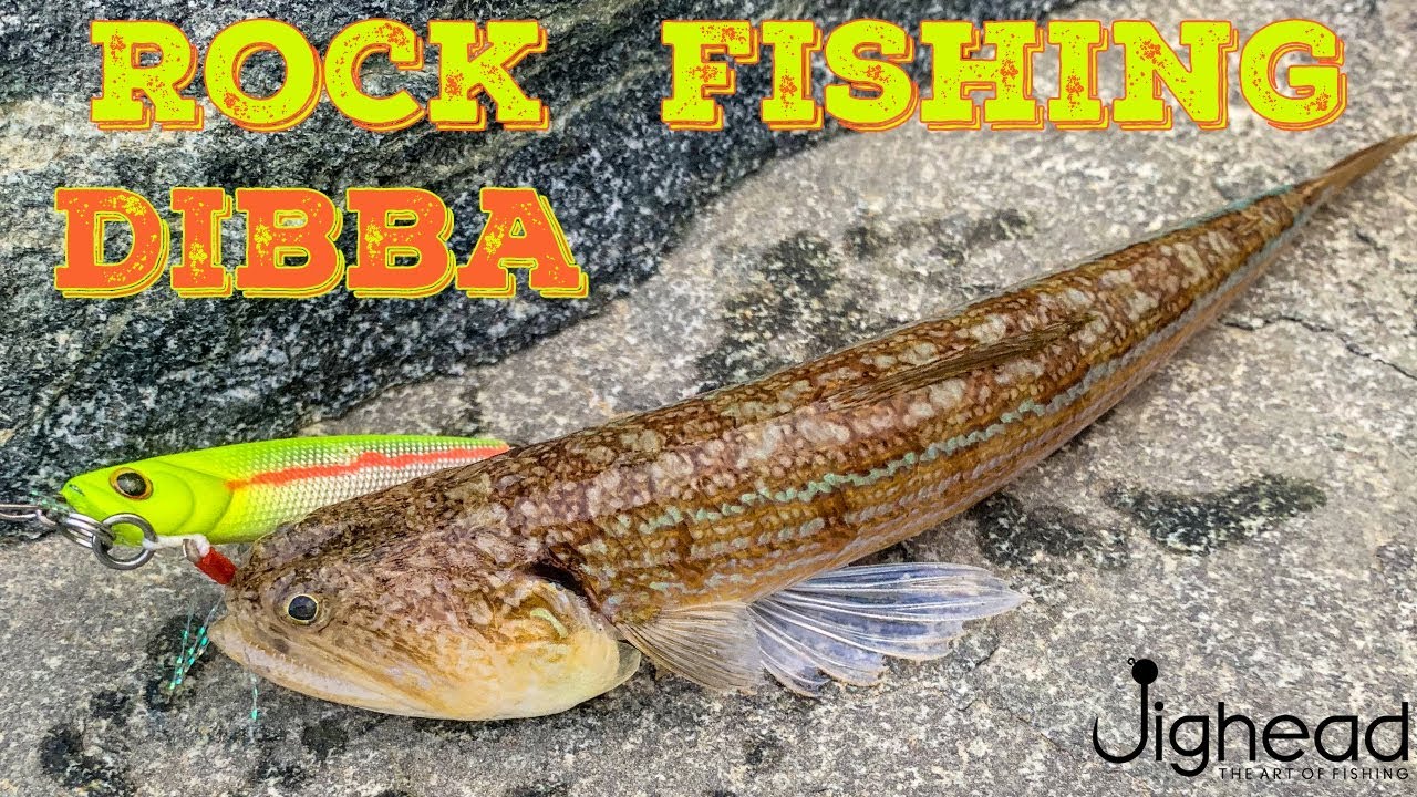Rock fishing with metal jigs - Diba, Fujairah - YouTube