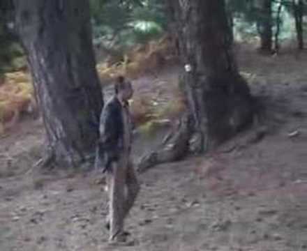 akif oktay (adına seslendim)