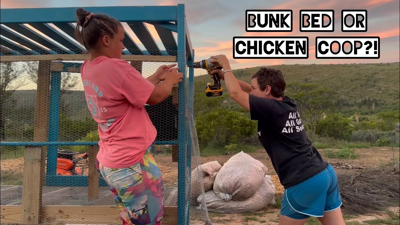 Transforming a bed bunk to a chicken coop! // part 2 - YouTube