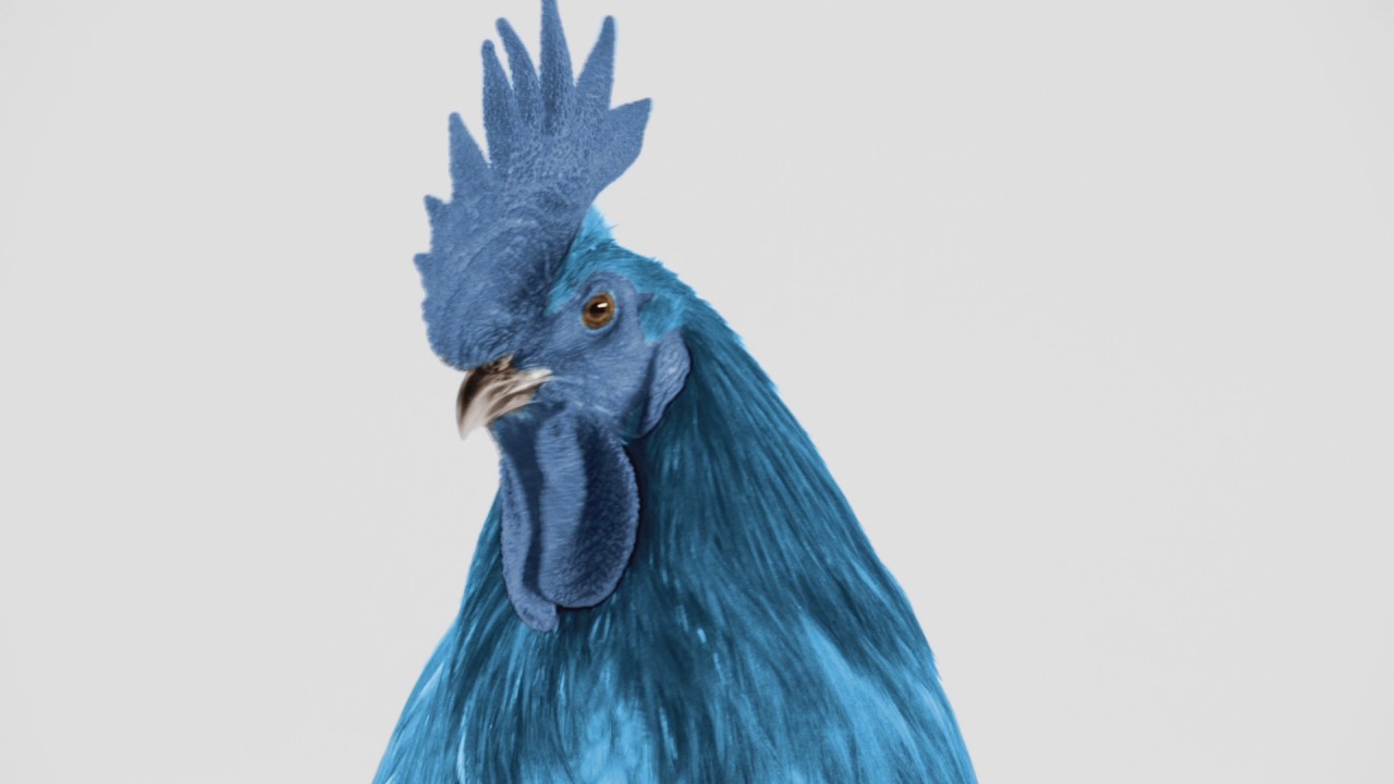 Highmark Delaware "Colors" :15 - YouTube