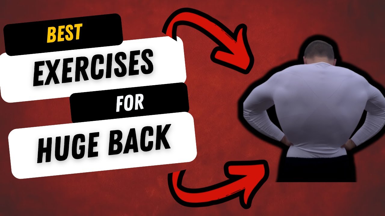 3 Exercises That Build a MASSIVE Back (Bodyweight) - YouTube