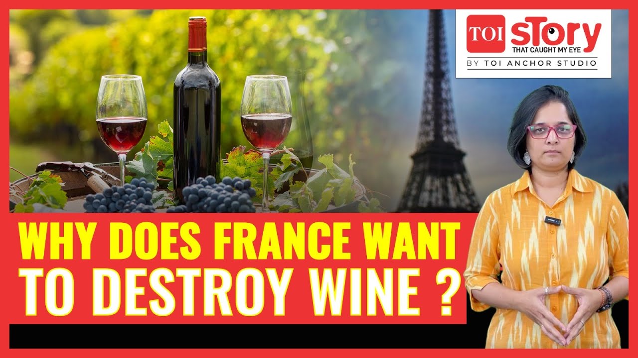 France is paying its winemakers €200M to destroy extra wine!! - YouTube