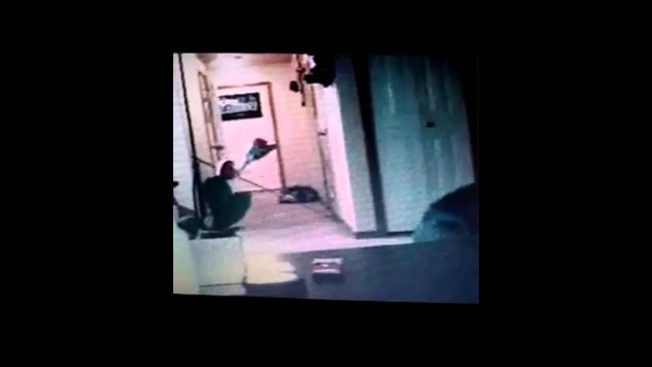 Homeowner Attacks Intruder During Robbery - YouTube
