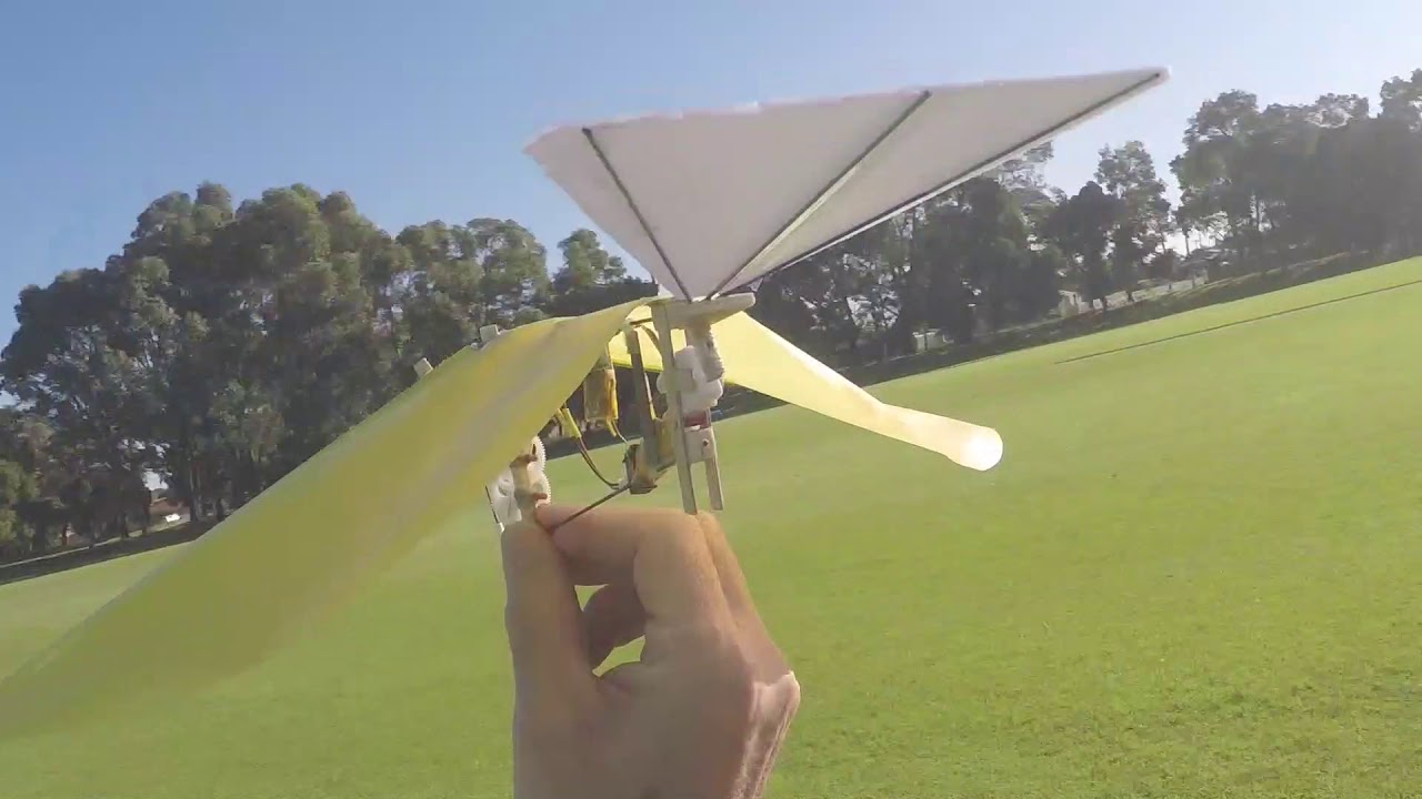 My RC ornithopter Yellow Bird flapping its wings and flying alongside ...