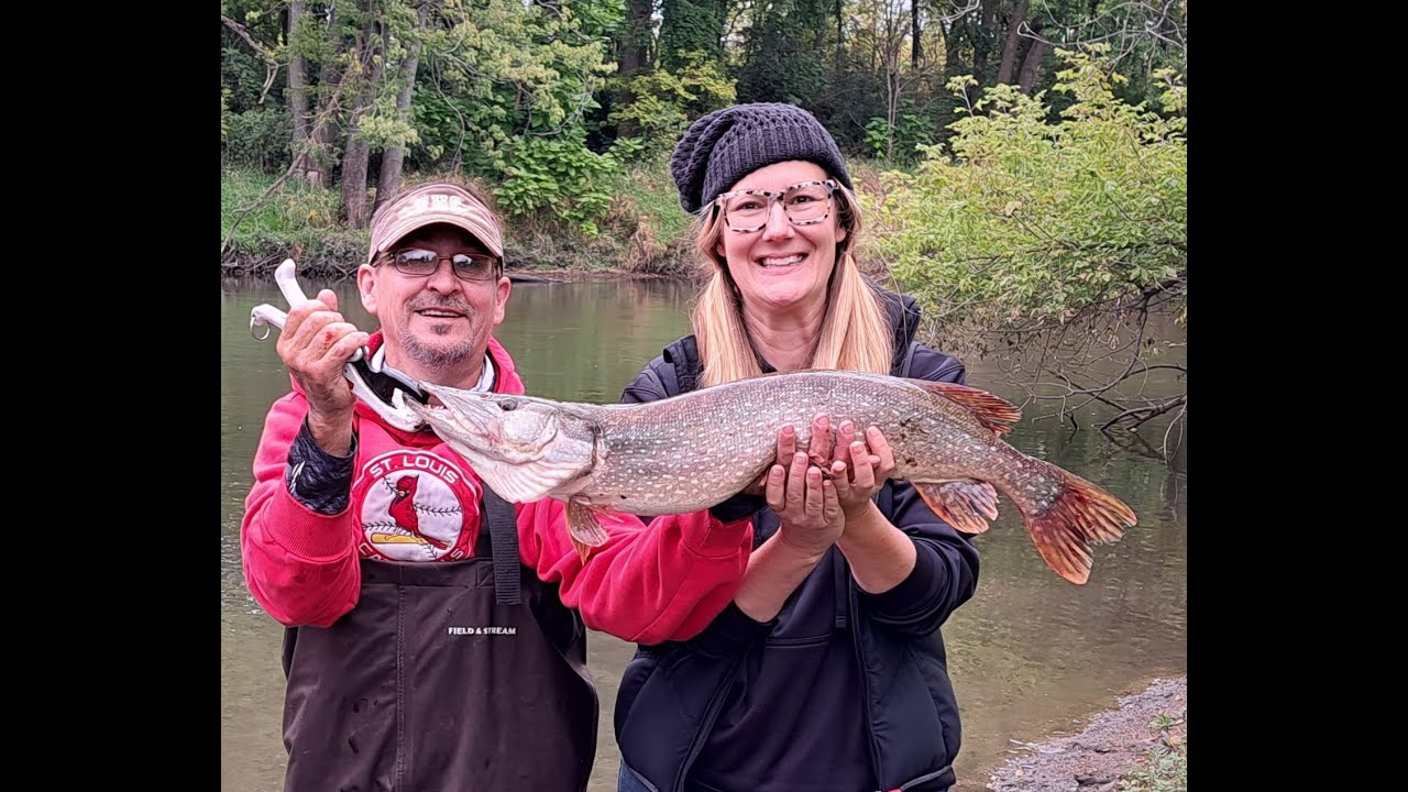 Monster Northern on the Kishwaukee River - YouTube