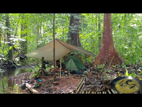 camping di hutan berburu ikan di guyur hujan deras mengolah masakan ekstrim daging ular & ikan lele