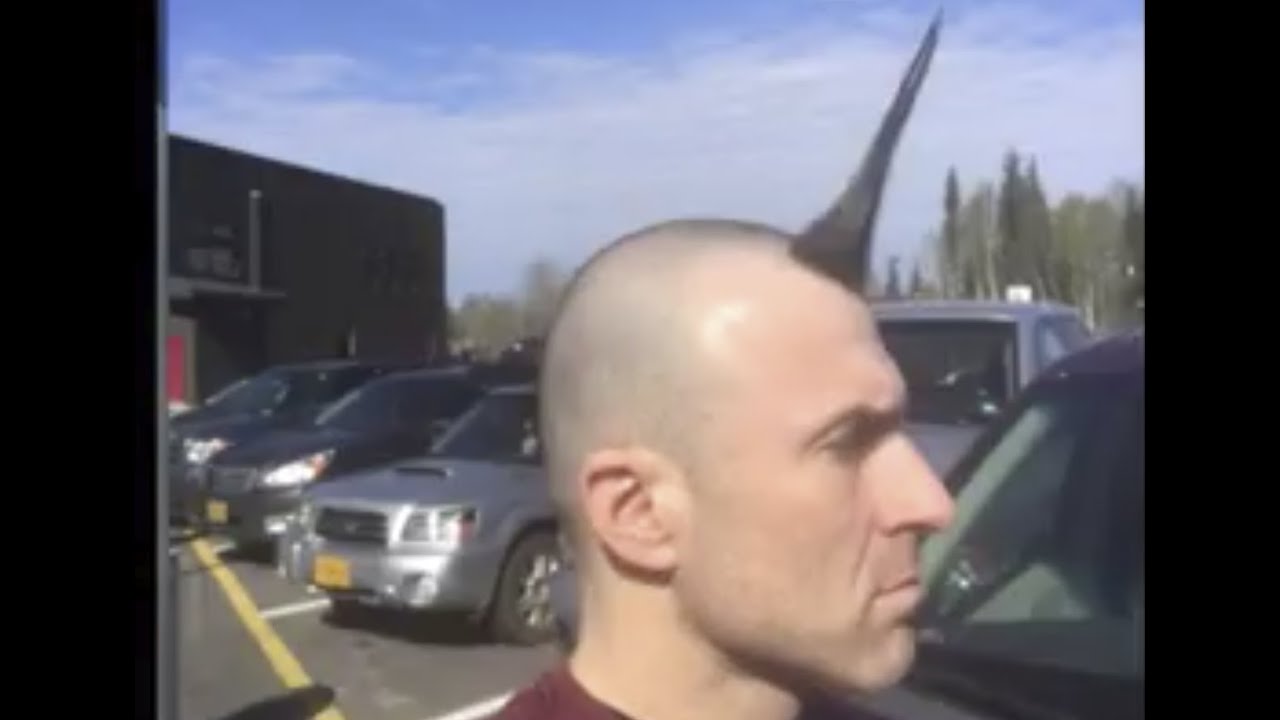 Cutting a Tri-Cut Mohawk, Mohawk, Liberty, Spikes, and Unicorn, Bald ...