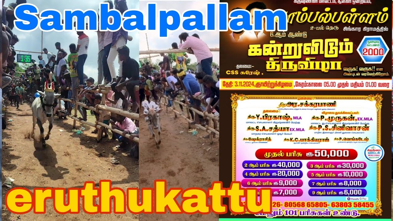 Eruthukathu# 2 teeth racing bulls # hidden Karnataka amaresh# video ...