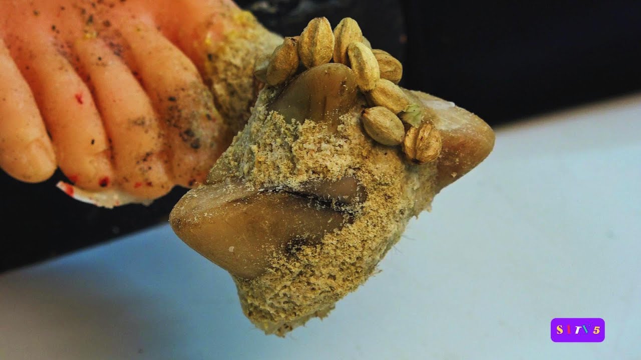 Amazingly Long Toenails, Trimmed One By One /SHOCKED Ingrown Toenail ...