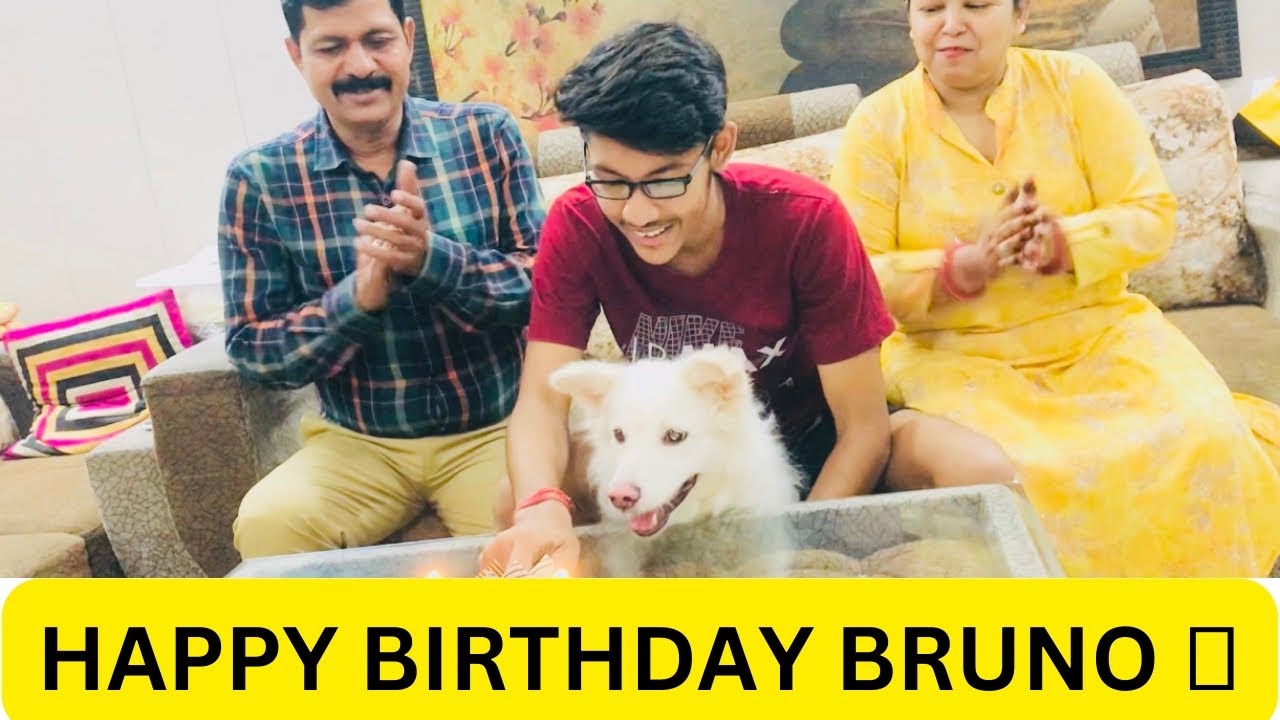 Happy Birthday Bruno 🎂😍 College Day ️ #vlog #dailyvlog #trending # ...