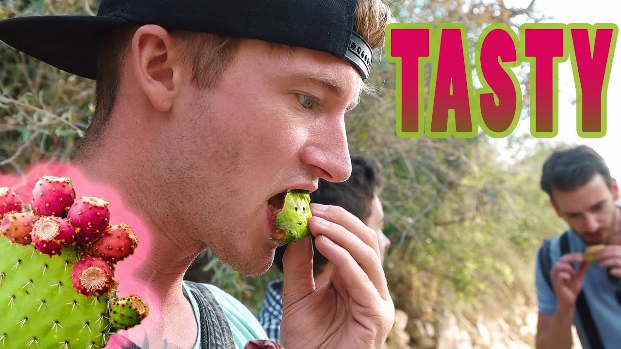EATING CACTUS FRUIT IN THE DESERT OF JORDAN - YouTube